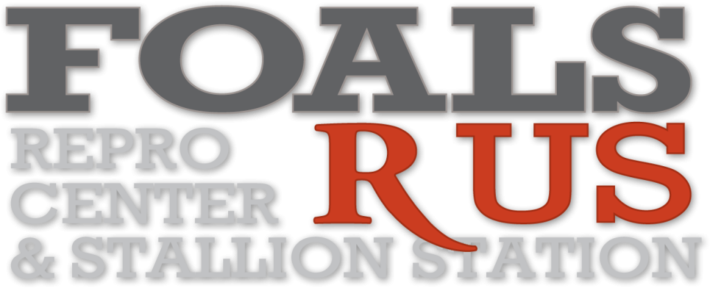 Foals R Us - Your One Stop Equine Reproduction Headquarter