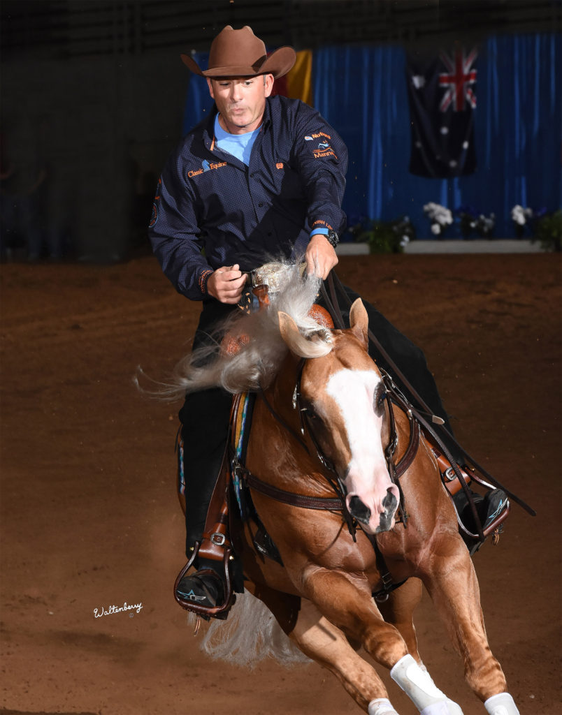 Modern Gun - Foals R Us