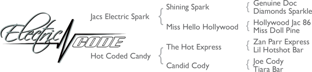 Electric Code - Foals R Us