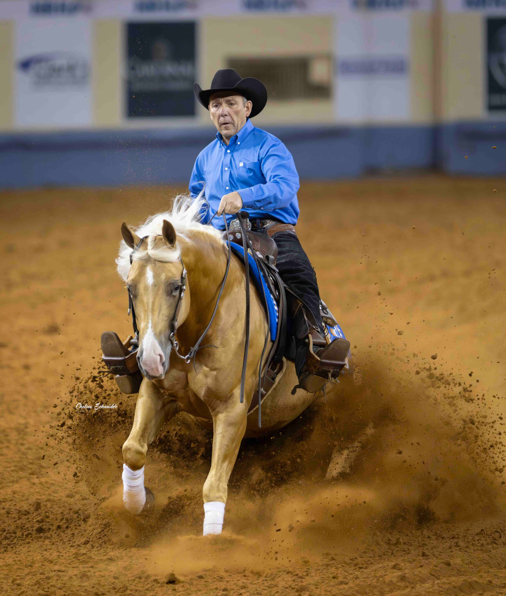 Headlinner - Foals R Us